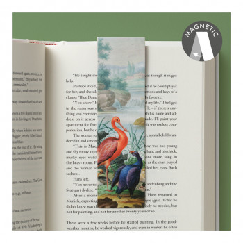 Classics Collection | Bookmarks| IF