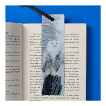 3D Collection | Bookmarks| IF